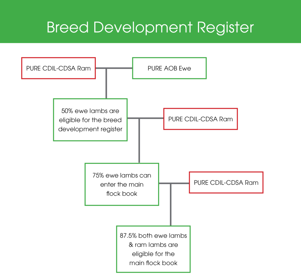 Up-grading chart - Cymdeithas Defaid Iseldir lliw – Coloured Down Sheep ...